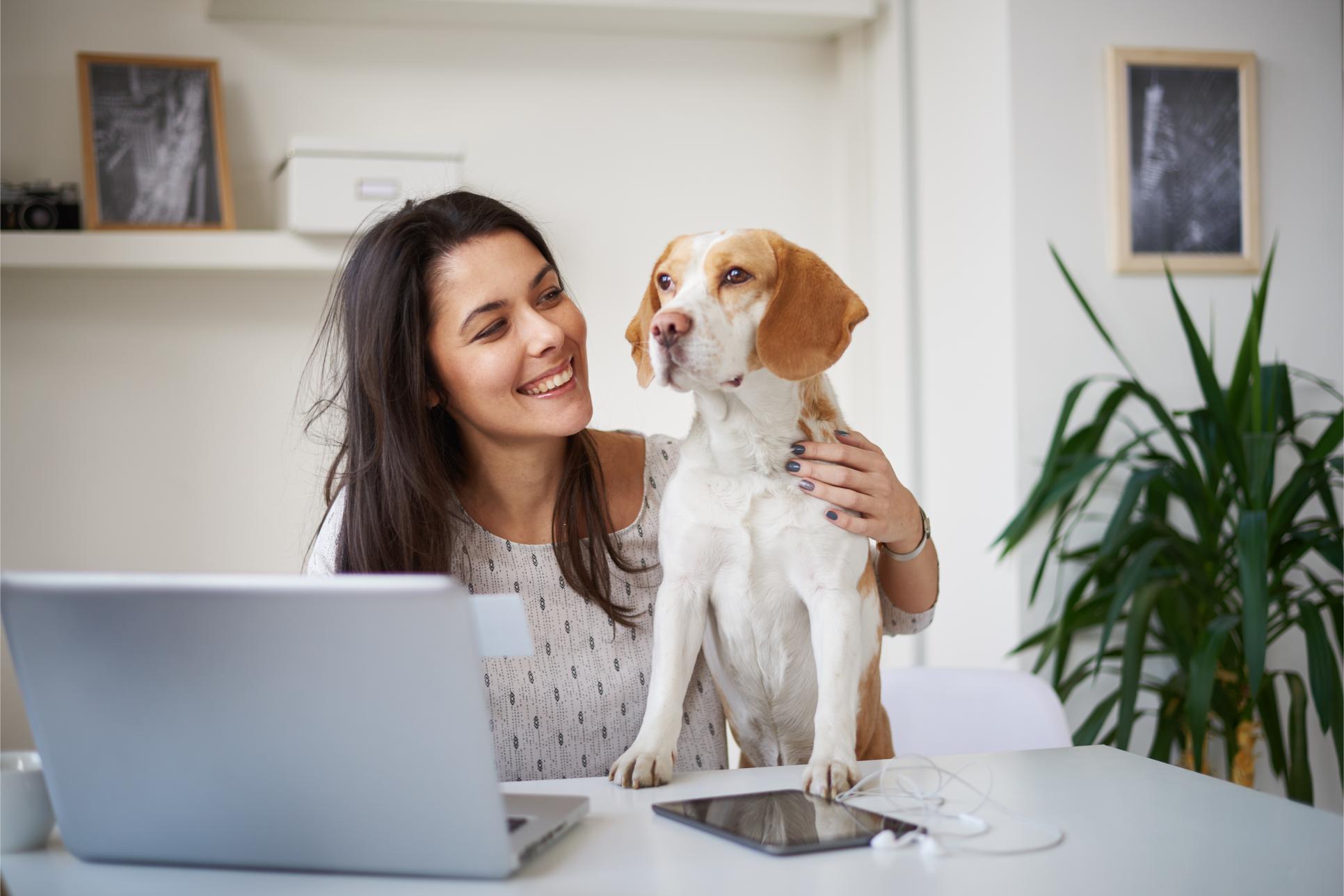 Top 5 Blogs of 2023 | Dupont Veterinary Clinic